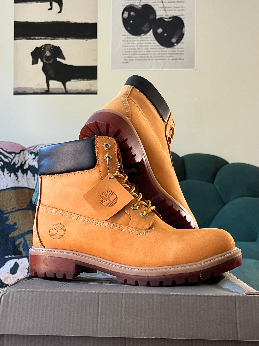 Havan Timbs – timb